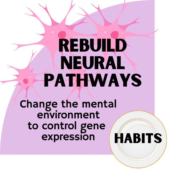 Rebuild Neural Pathways - Heal Your Health Now